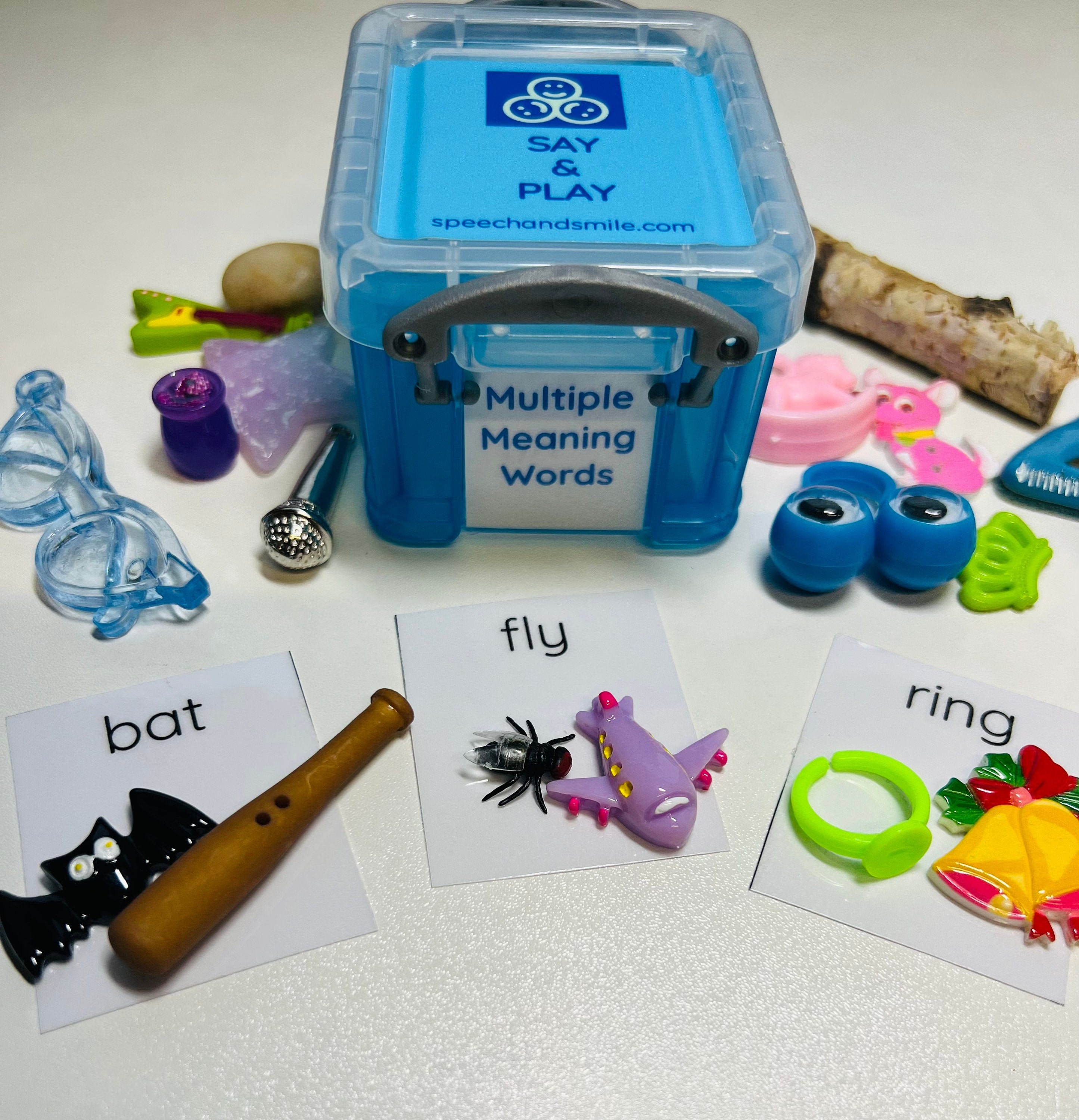 Multiple Meaning Word Objects-Minis for Speech-homonym Words-Speech Th ...